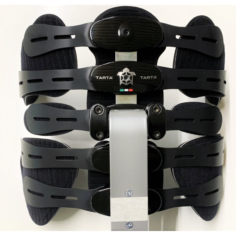 Tarta Contour L backrest for wheelchairs on segway PT base